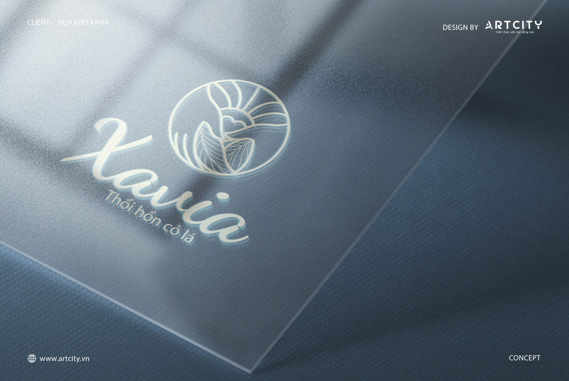 XAVIA BRAND IDENTITY DESIGN PROJECT